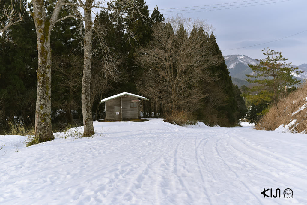 Kannabe : เที่ยวลานสกีฝั่งคันไซที่สกีรีสอร์ทคันนาเบะในจ.เฮียวโงะ | Kiji ...