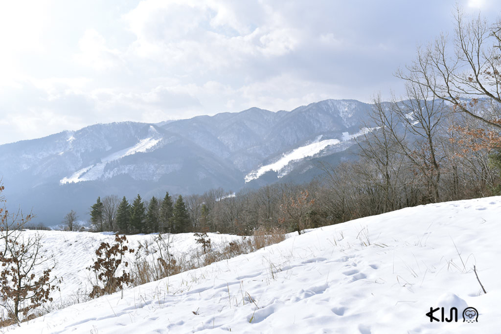 Kannabe : เที่ยวลานสกีฝั่งคันไซที่สกีรีสอร์ทคันนาเบะในจังหวัดเฮียวโงะ ...