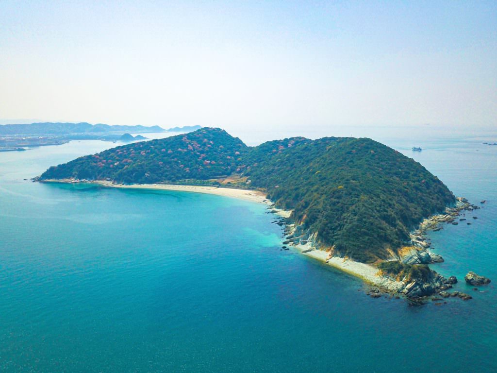 MUJINTO cinema CAMP KANSAI 2020 : ดูหนังกลางแปลงบนเกาะร้าง (สิ้นสุดแล้ว ...