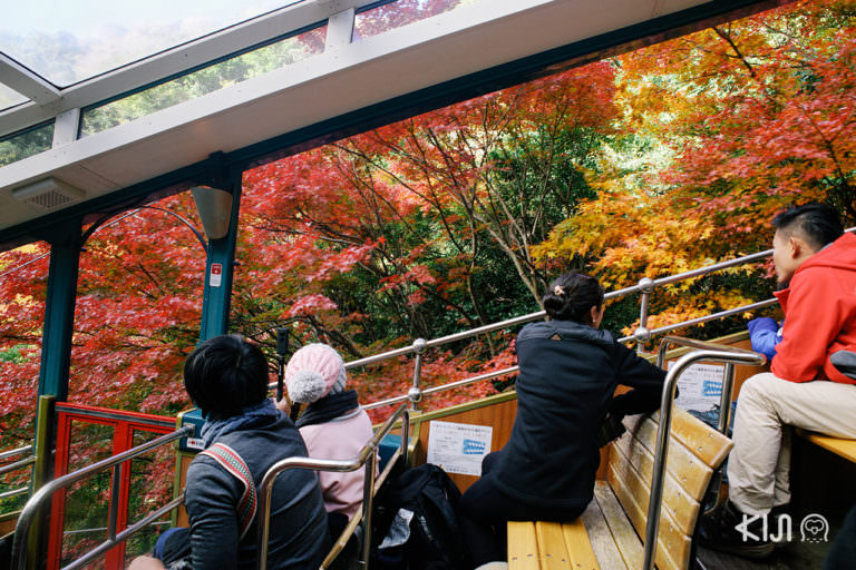 Mt.Rokko-Arima Onsen : ทริปสูดความสดชื่นบนเขาร็อคโค แล้วนั่งกระเช้าไป ...